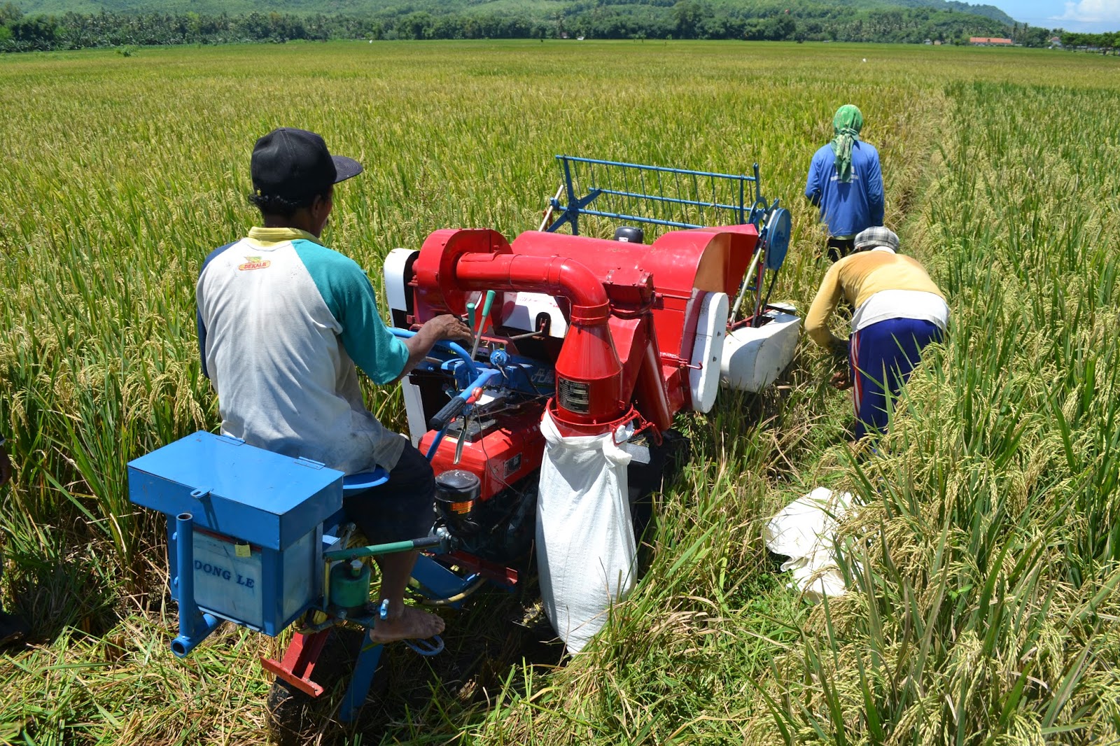 Demo Mesin Panen Padi ~ Santoso Advance Agricultural Machinery