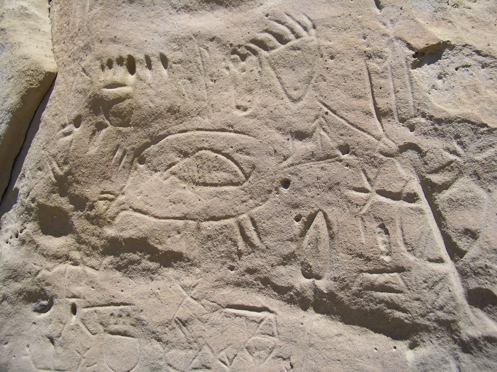 The Dynamic Earth: White Mountain Petroglyphs