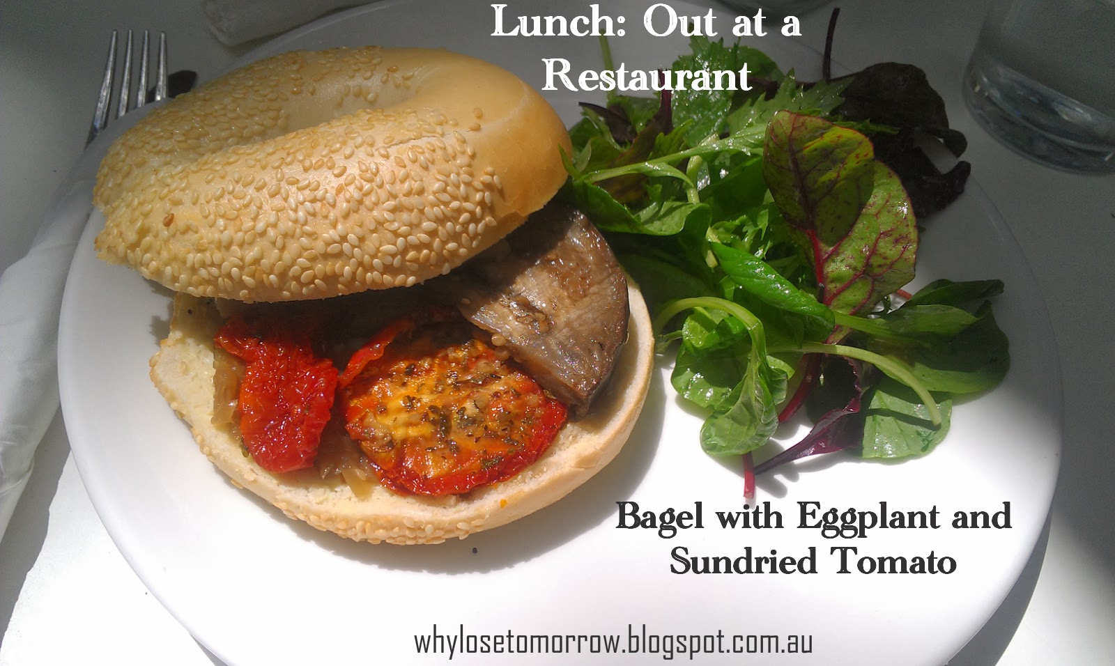 Why Lose Tomorrow?: Weight Loss Week Seven Day Four Lite and Easy (Lite ...