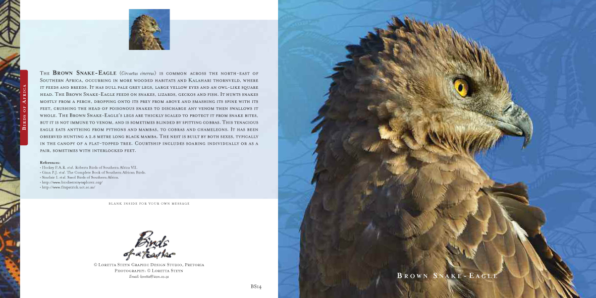 Loretta Steyn Graphic Design Studio: Birds of a Feather – Greeting card ...