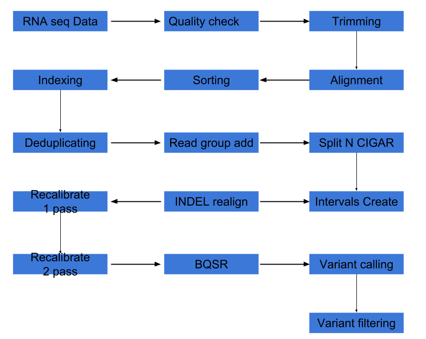 Supertrapp E Haust Pipes Variant Calling Pipeline