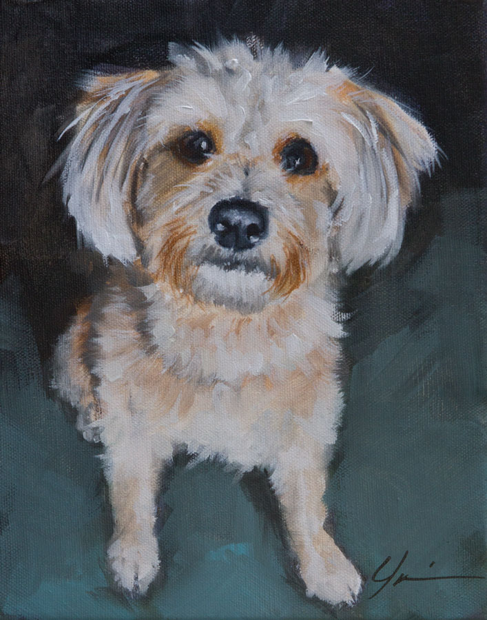 Clair Hartmann: 2016