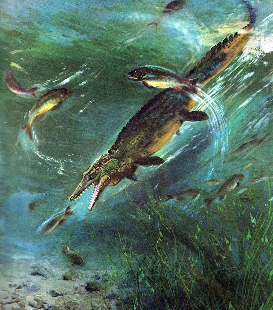 Love in the Time of Chasmosaurs: Vintage Dinosaur Art: Life before Man ...