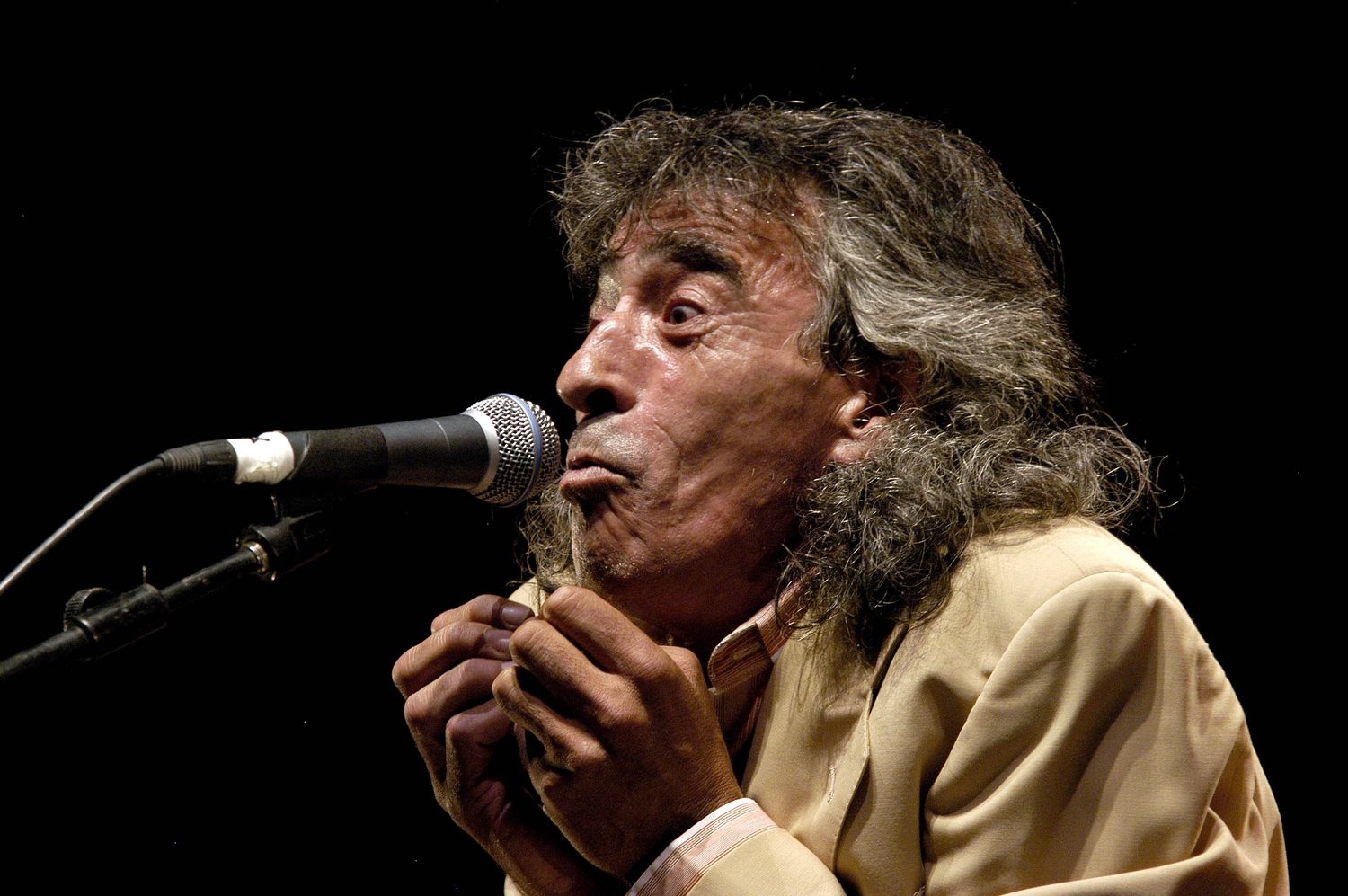 LO Mejor Del Flamenco: El Cante Flamenco