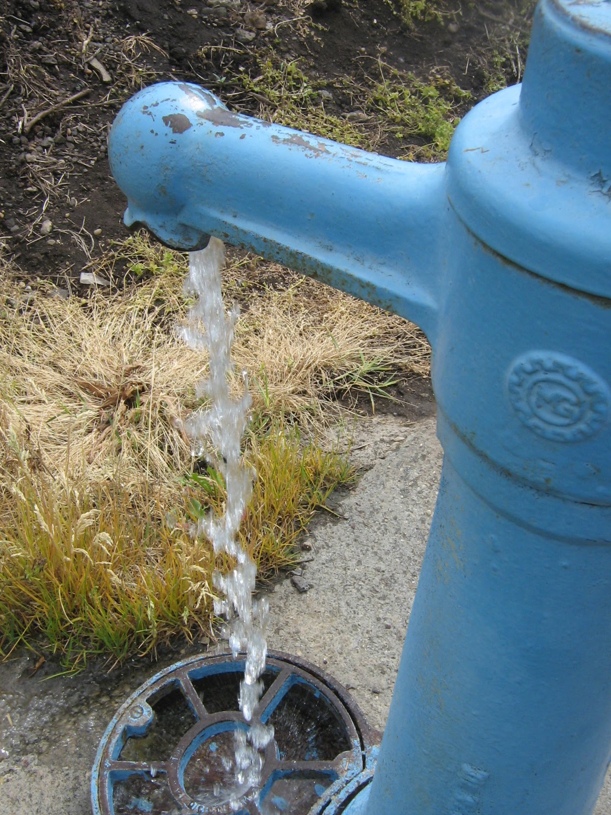 A vidék itthon: Falusi kutak