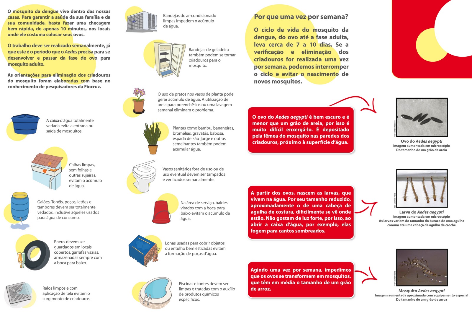 Deputado Estadual Bruno Correia: Faça o Seu CHECKLIST Contra o Mosquito ...