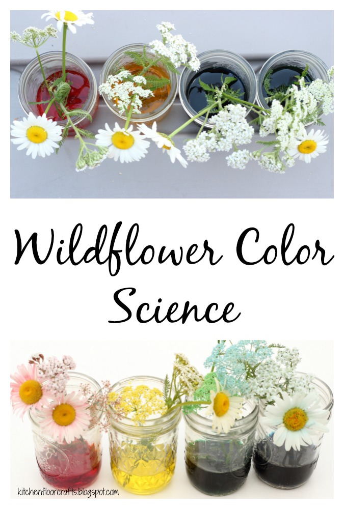 Kitchen Floor Crafts: Wildflower Color Science