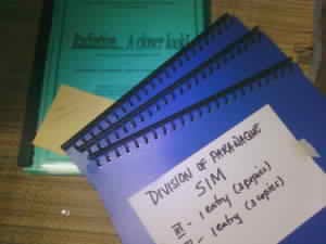 tSoKtOk: Strategic Intervention Materials (SIM): A Closer Look