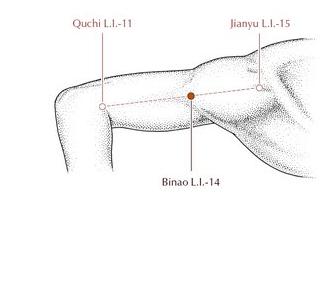 Acupuncture: LI - 14 (Large Intestine-14)