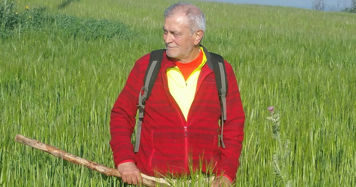 EL BARULLO: UNA TERAPIA.