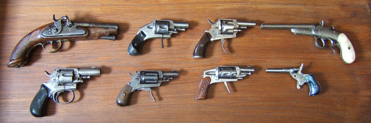 Armas de Fuego: velo dog