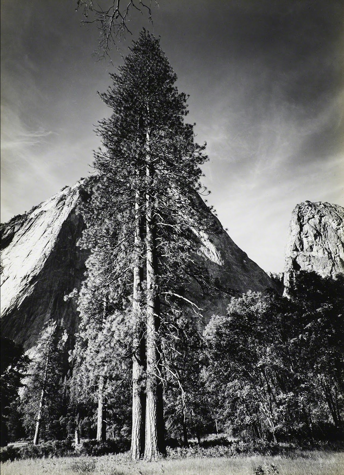 Colors for a Bygone Era: Ansel Adams, Trees and Cliffs, 1954, colorized ...