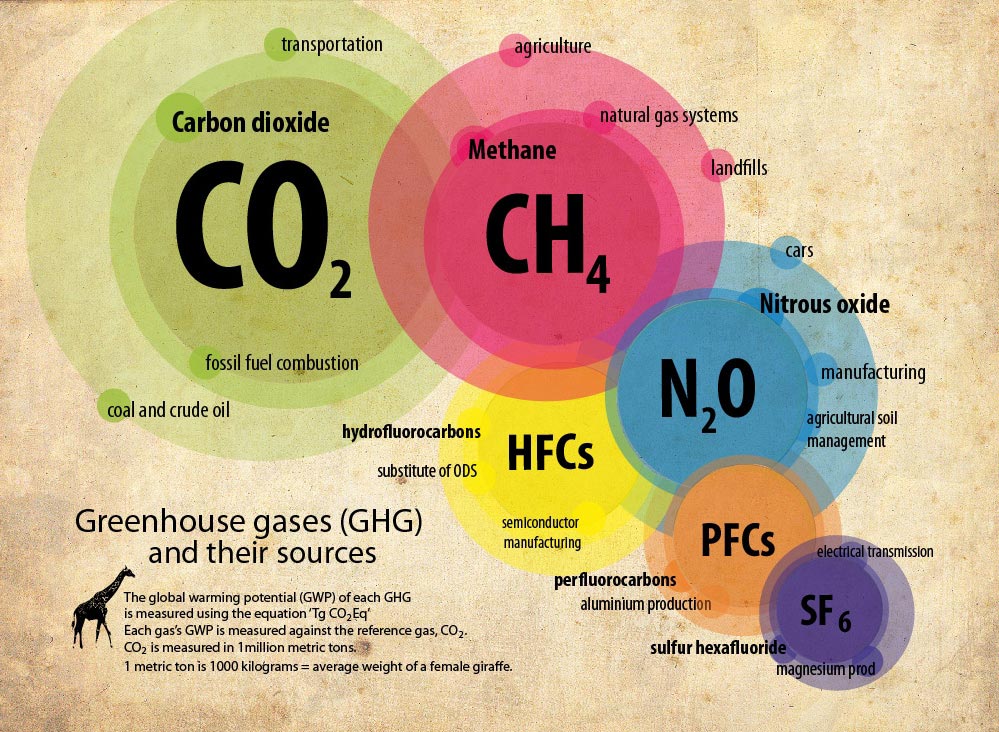 Paku Midin 4 Majors Causes Of The GreenHouse Gas GHG Effect paku-midin-4-majors-causes-of-the-greenhouse-gas-ghg-effect