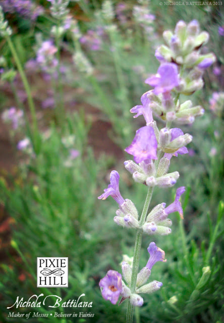 Pixie Hill: August 2013