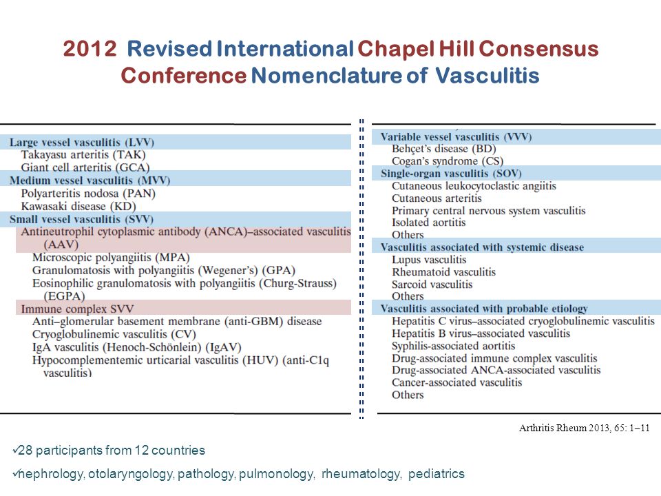 icupearls.org Archive: On the Nomenclature of Vasculitides