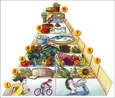 Grupo NK: Pirâmide Alimentar