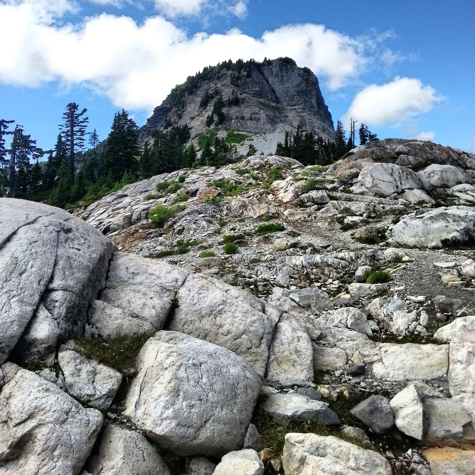 Table Top Hike Nt at Elaine Philson blog