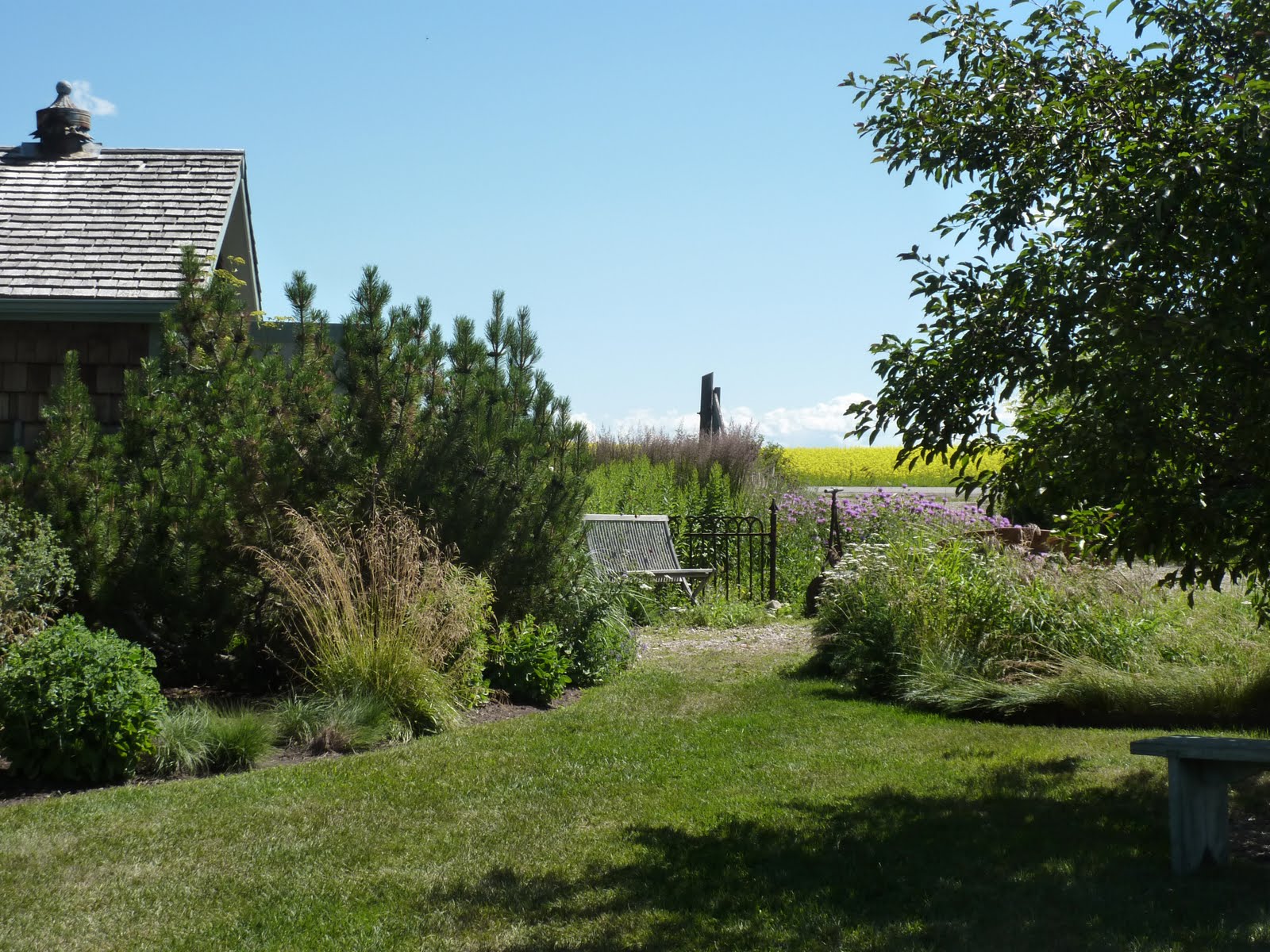 Art by Saltiel: Coutts Homestead, Nanton
