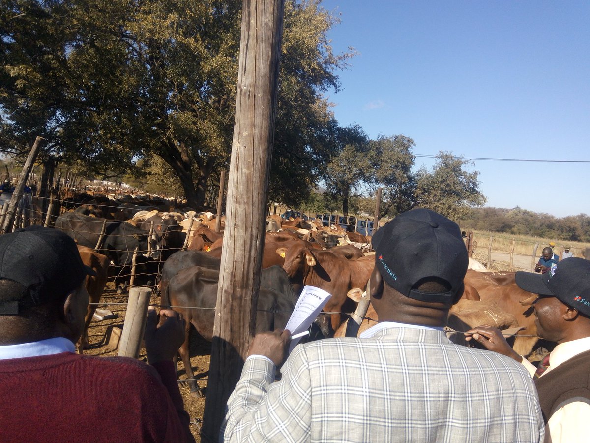 PICS : ED LAUNCHES COMMAND AGRI | Mafaro