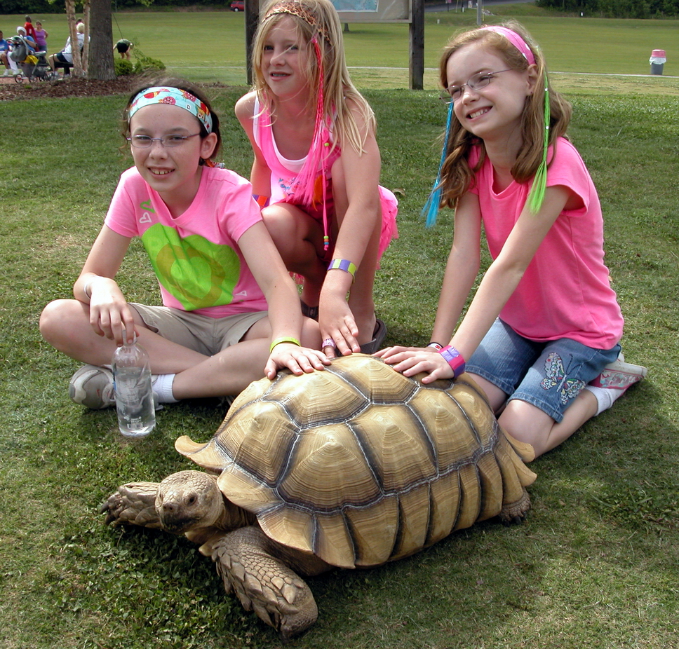 Some of my lady friends.