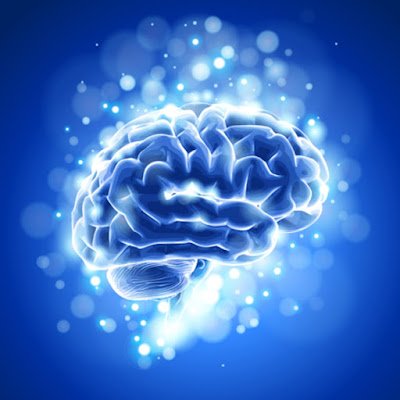 Blue brain - The man made mammalian brain ~ KNOWLEDGE BASE