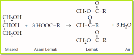 Tata Nama Lemak (Lipid) - Biology Page