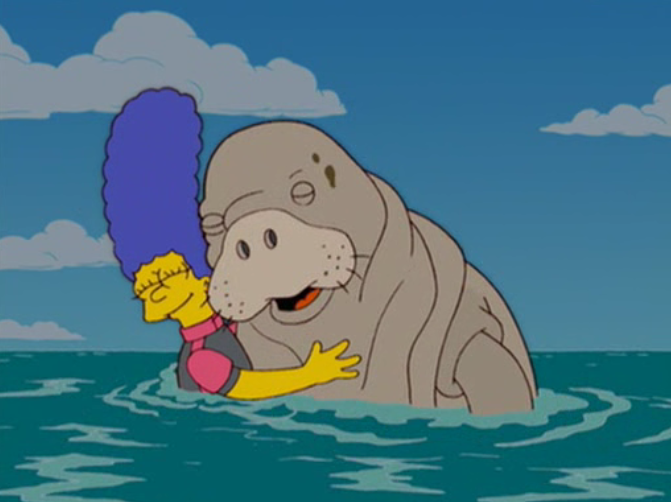 Yellow Jay Sherman: Bonfire of the Manatees (S17, E01-357)