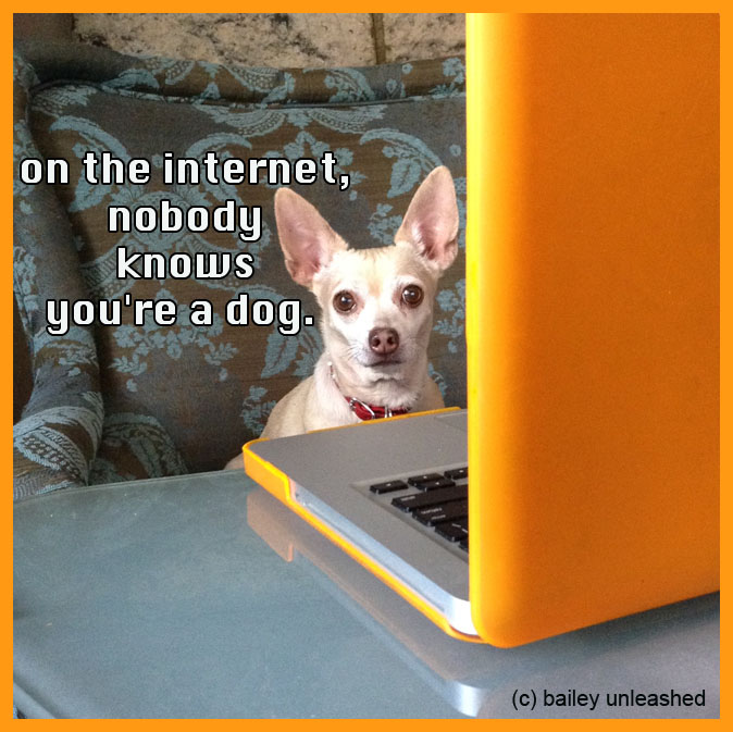 bailey unleashed .com: computer dog