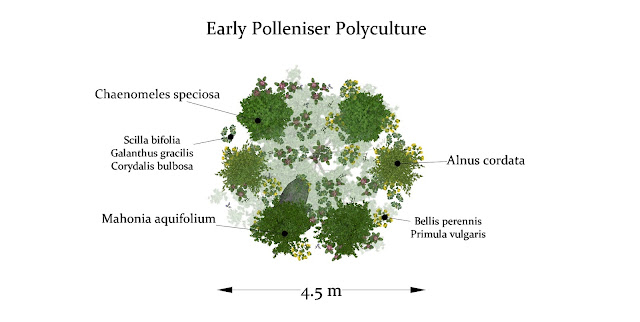 Balkan Ecology Project : The Early Polleniser Polyculture - A Support ...