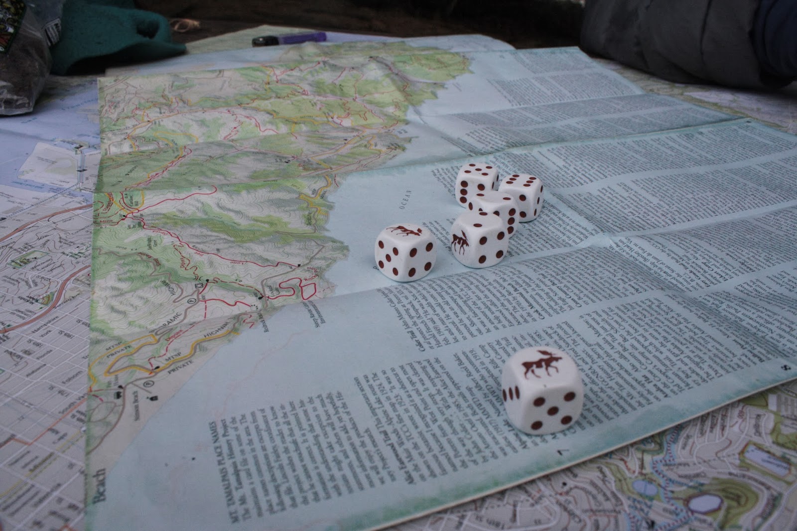 gray to green: bicentennial camping