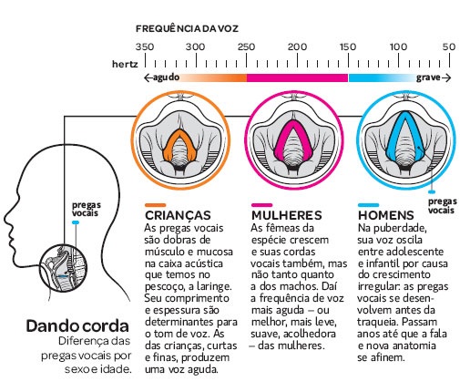 Portal Fonoaudiologia: O que faz nossa VOZ ser grossa ( grave) ou fina ...