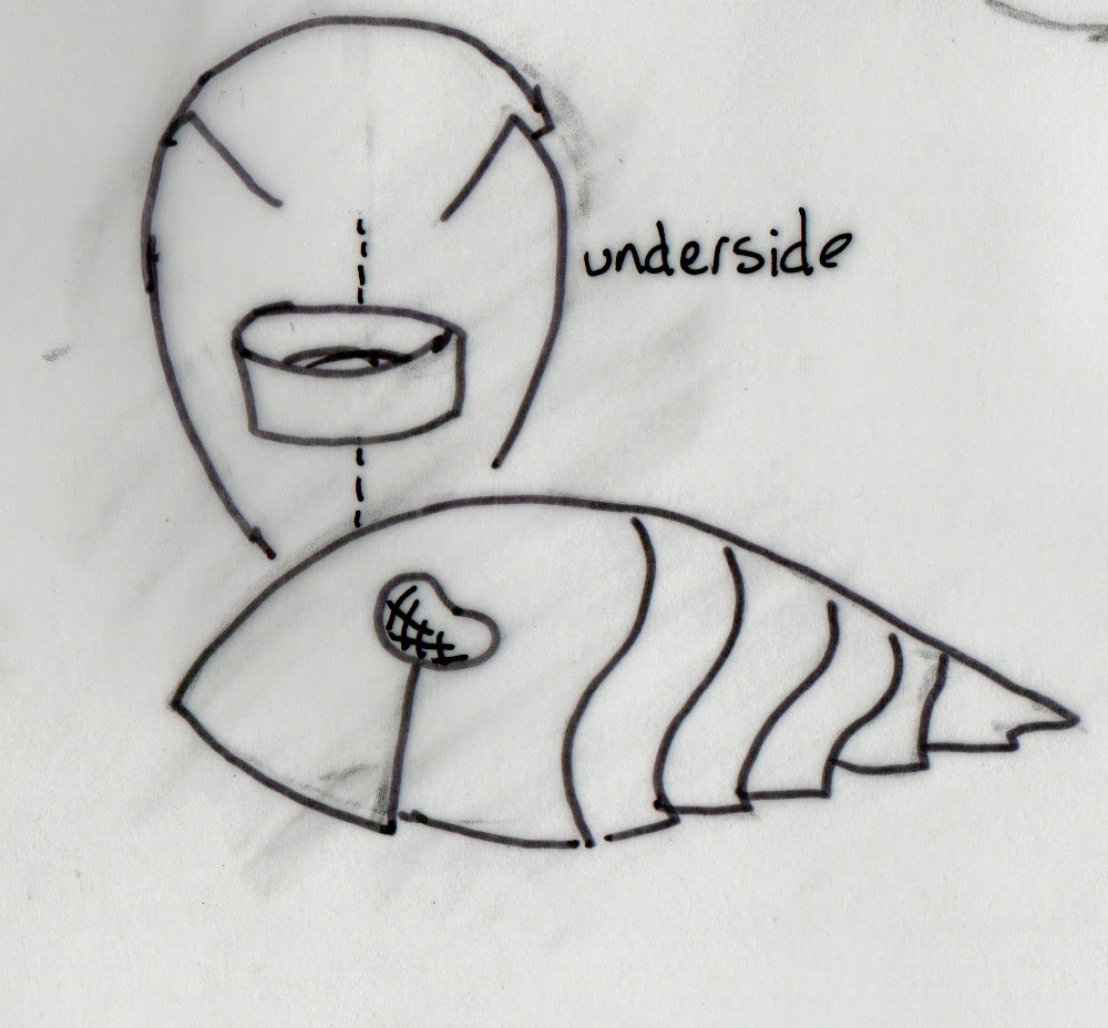 Ancient Landscapes: Draw your own trilobite!