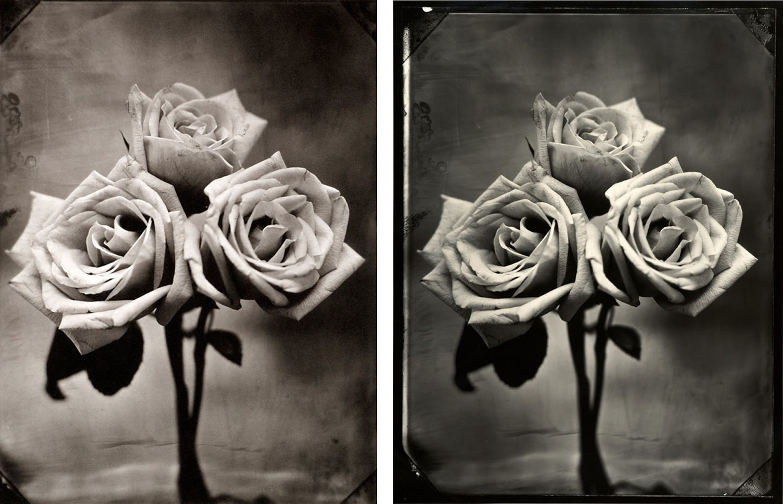 Photo Archives Boston Spr 2013: Platinum Prints