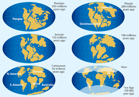 What is the Mesozoic era (Phanerozoic Eon)?