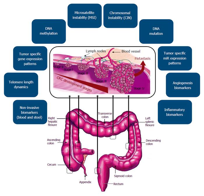 16th International Conference on Gastroenterology and Digestive ...
