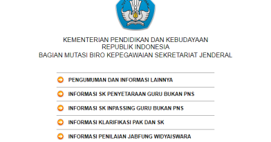 Cek SK Inpassing Guru Bukan PNS (GBPNS) - Tim Dapodik