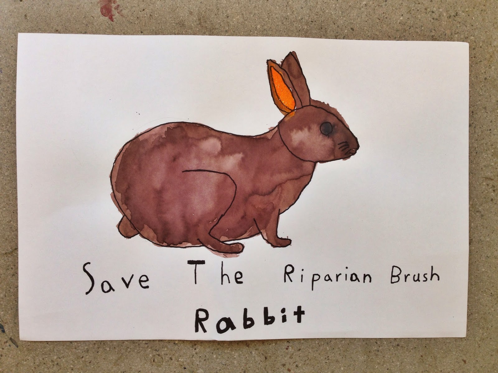 Arboretum Summer Nature Camp 2014: Week 4 : "Zoology, The Great Animal ...