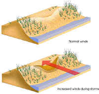Geography... Extreme Landscapes: DESERT DEPOSITIONAL FEATURES