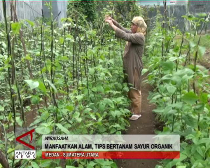 Produktifitas Tanaman Pangan | Perkebunan