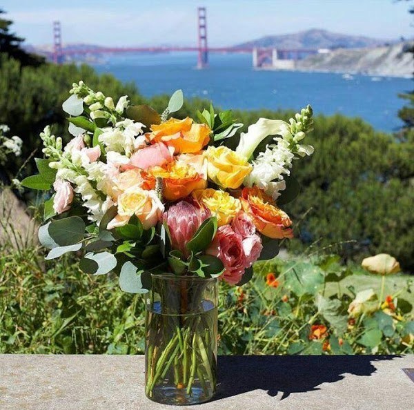 Budget-Friendly and Farm-Fresh Flowers Now in Malaysia