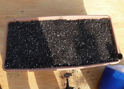 Gidget's Garden: Another look at how to replant an EarthBox