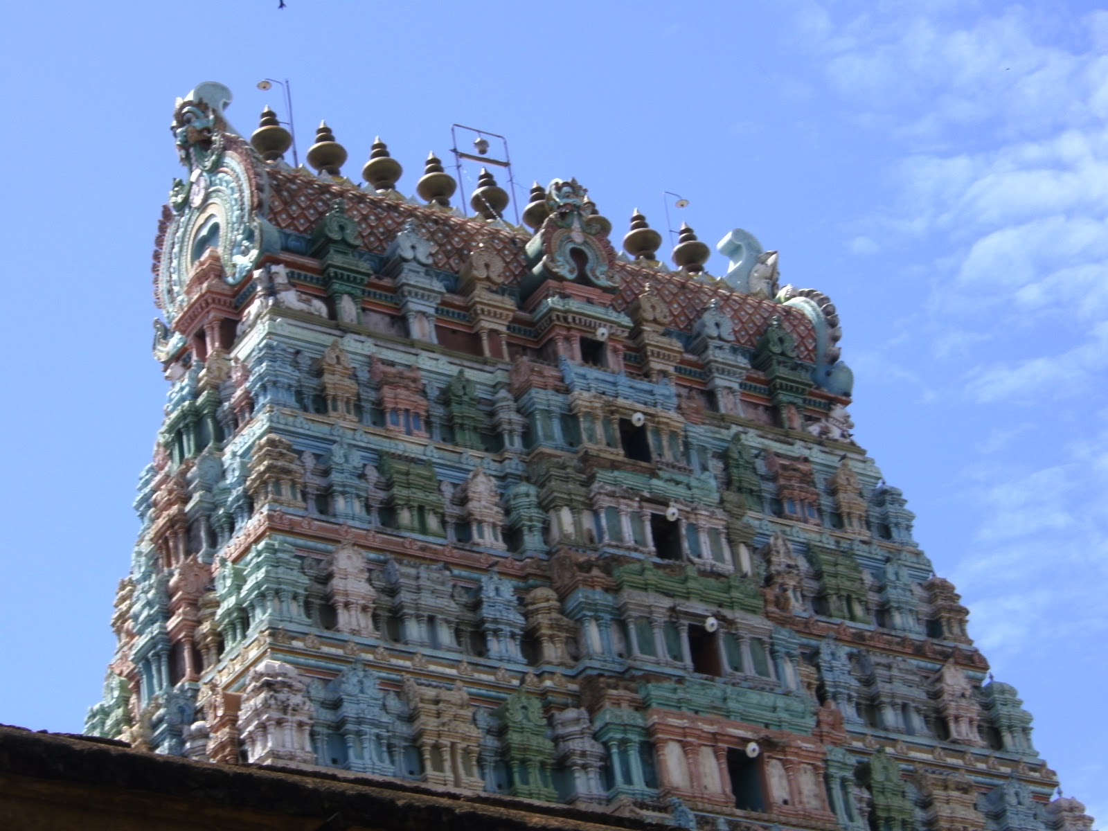 Karuppu Muruganantham BJP tamil nadu secretary: kalayarkoil maruthu ...