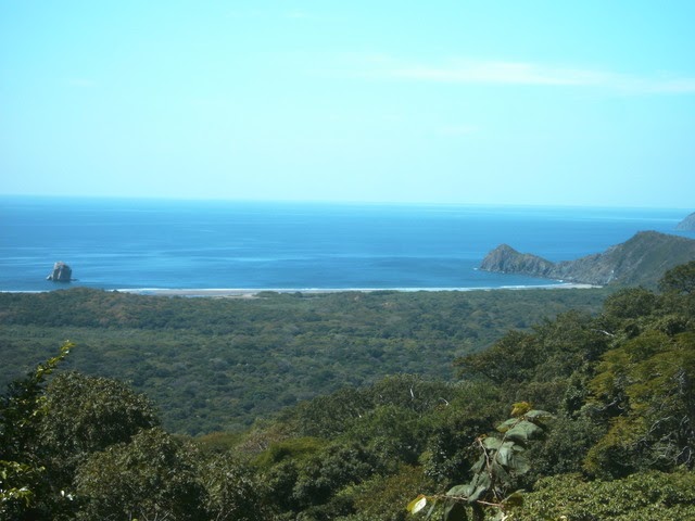 ECOSISTEMAS DE COSTA RICA: PARQUE NACIONAL SANTA ROSA