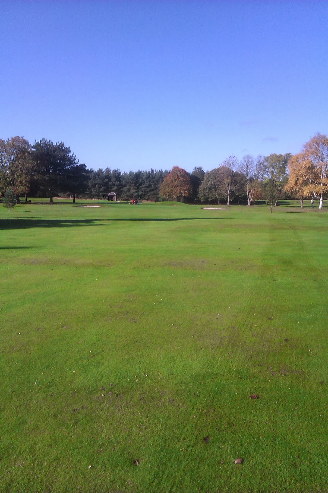 Malton and Norton Golf Club Greens Department: October 2013