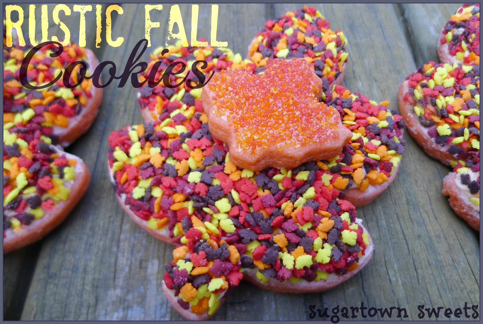 Sugartown Sweets: Fall Cookies!