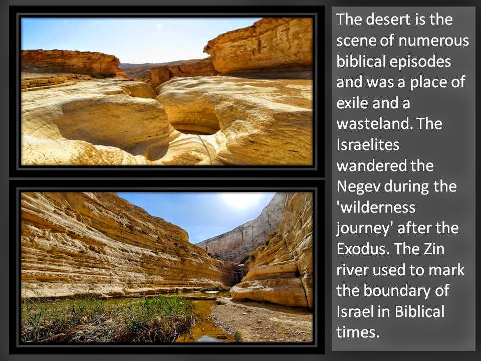 JCM: Negev's river rebirth after years of drought giving people across ...