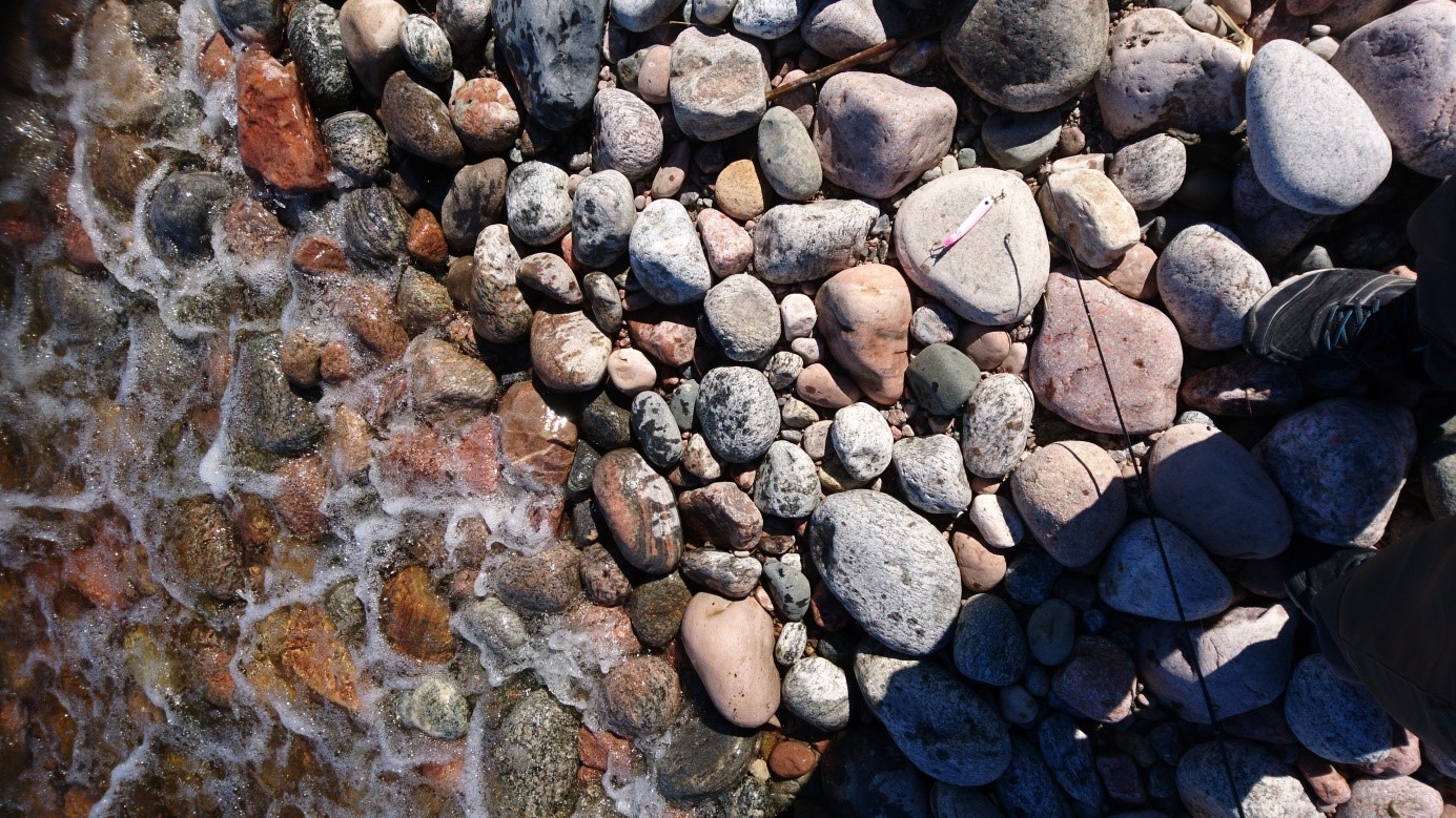 Bloggare | Gavleörings Erik Frodig bloggar om våren som gått!