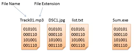 Basic Knowledge about Software ~ Computer Languages (clcoding)