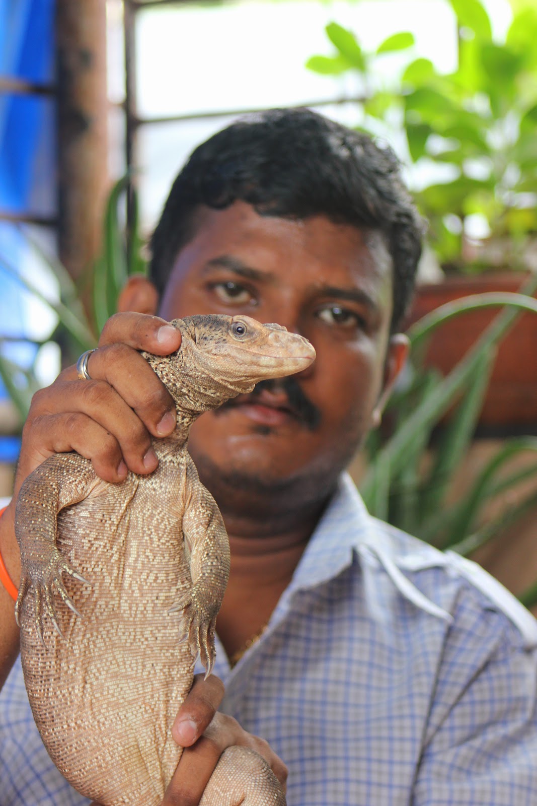 PAWS-Mumbai Pix Update