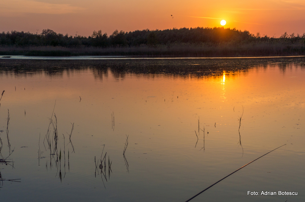 Poveştile mele: Locuri de vizitat in Bucuresti – Lacul Morii si ...